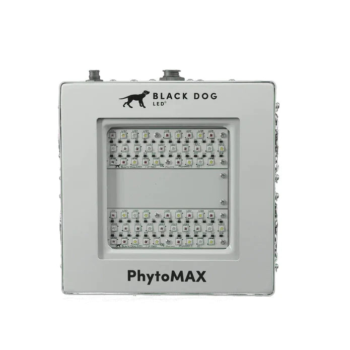 Get your Black Dog LED