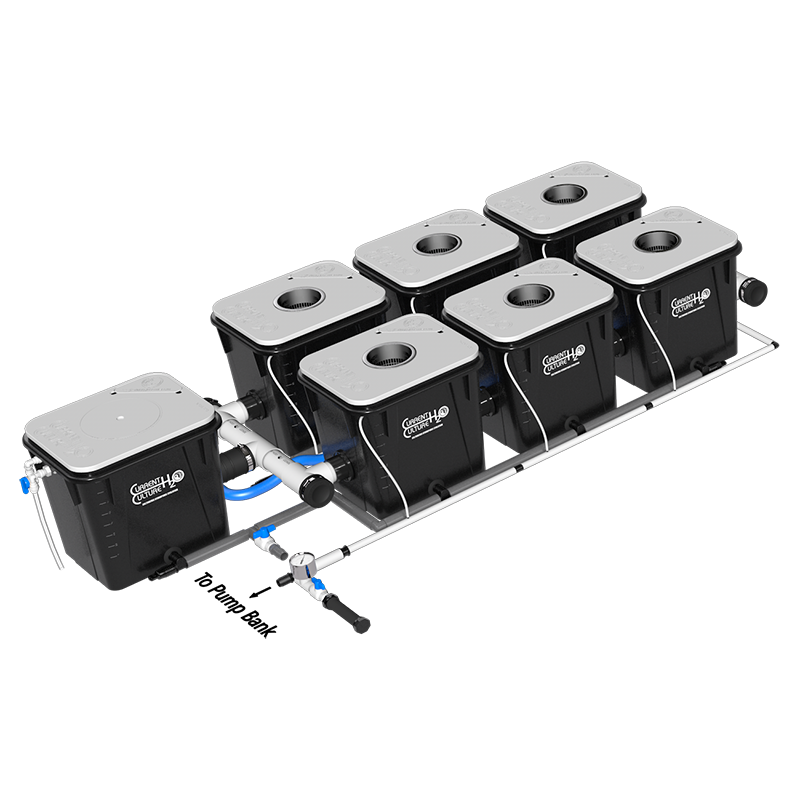 Under Current 6 – RDWC System - 8 Gallon -18″ Spacing | 6 Site - 2 Row
